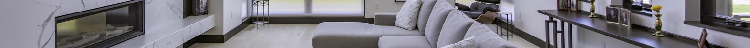 Modern Home | Brio Design Homes - Madison Homes